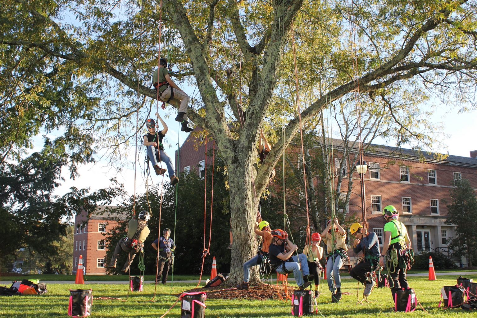 Prospective Students | Department of Natural Resources and the Environment