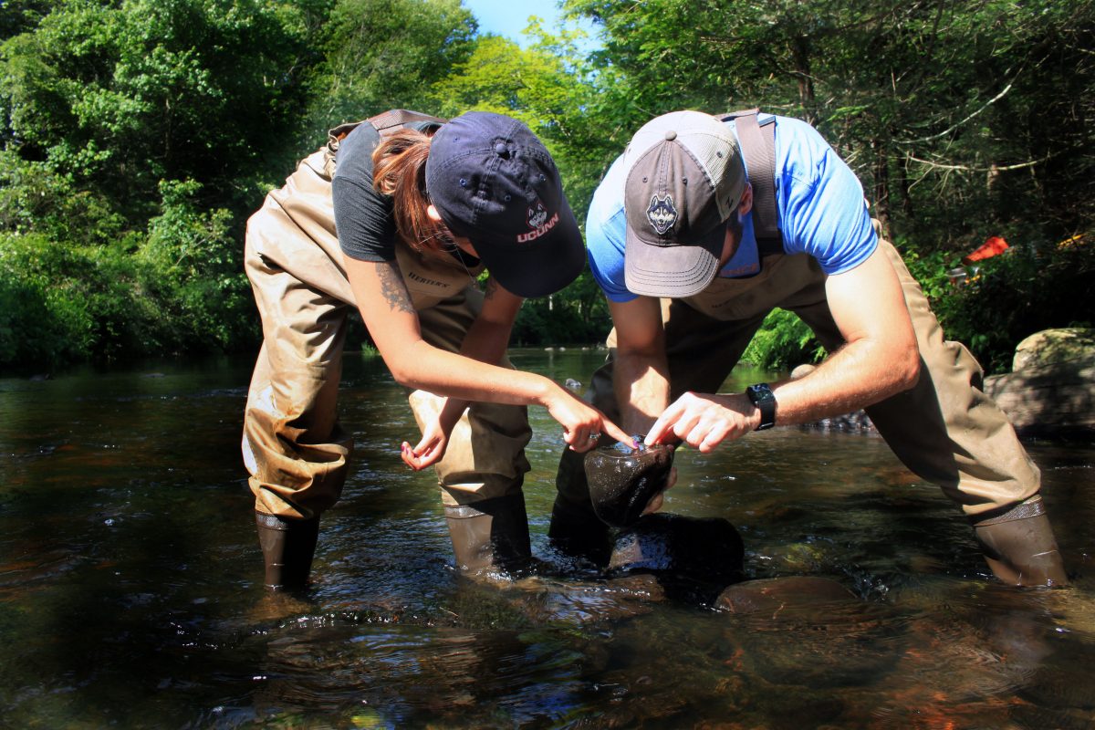 Major Course Requirements | Department of Natural Resources and the ...