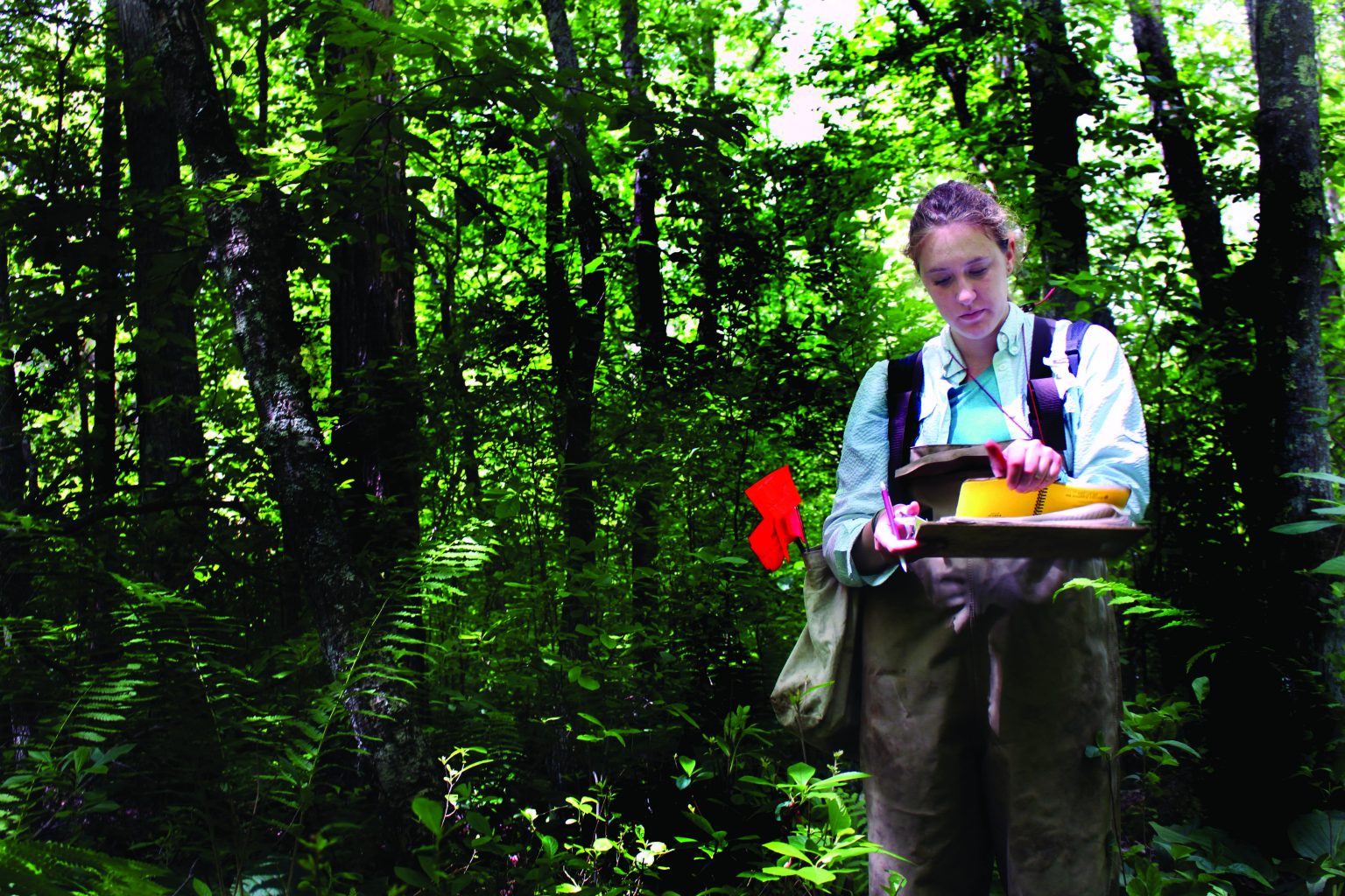Undergraduate Students | Department of Natural Resources and the ...