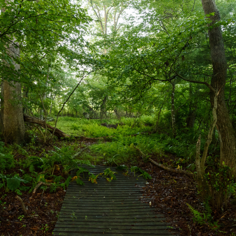 Home | Department of Natural Resources and the Environment